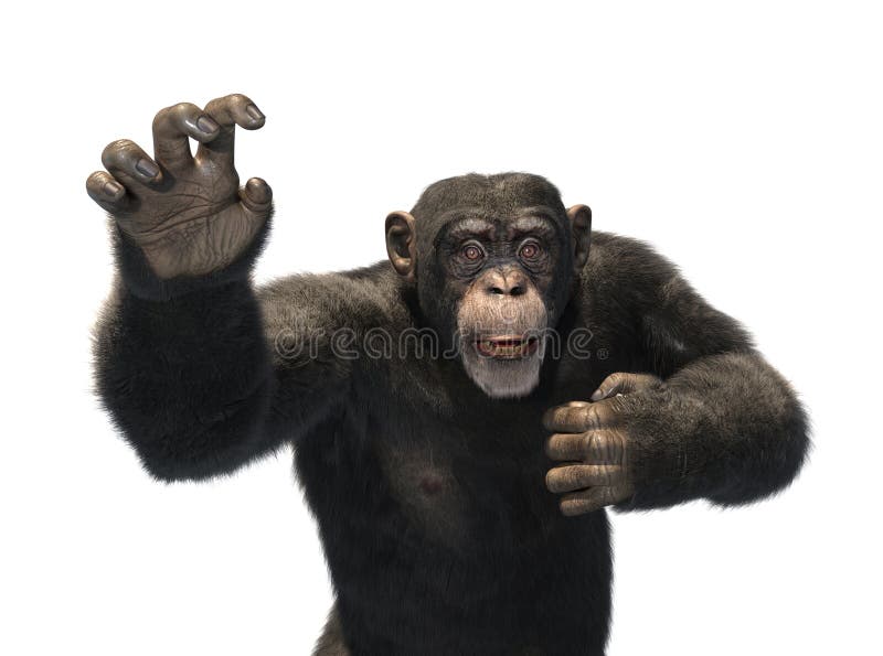 Chimp Reaching for Help stock illustration. Illustration of rendered ...