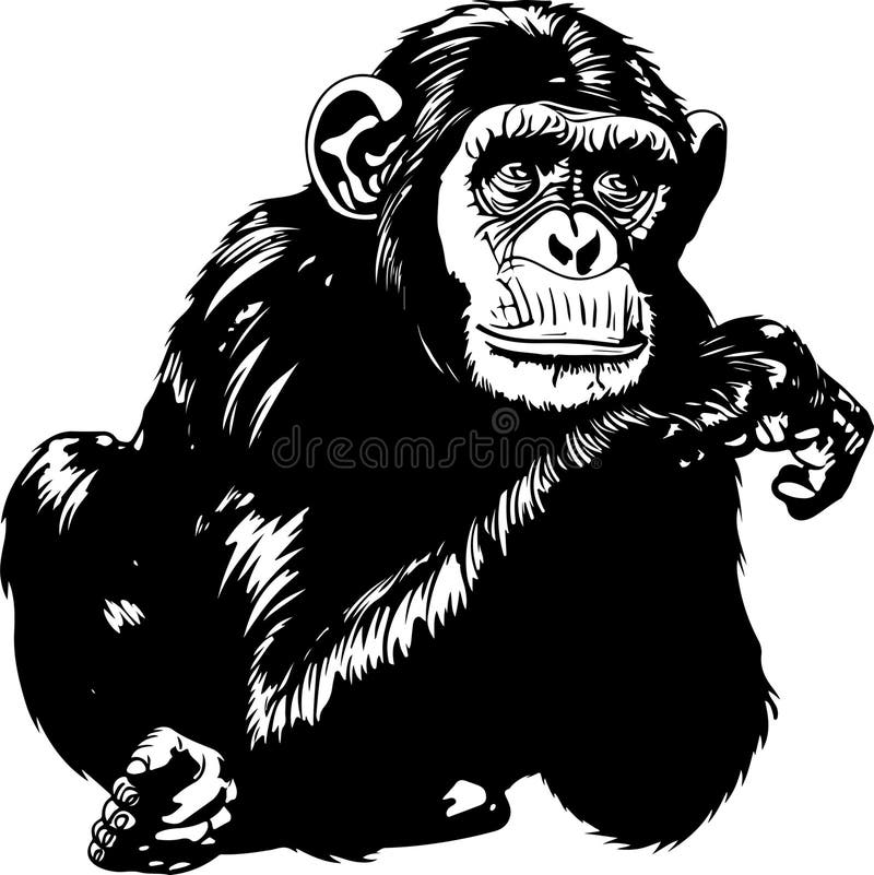 Chimpanzee Chimp Animal Vector Stock Vector - Illustration of primate ...