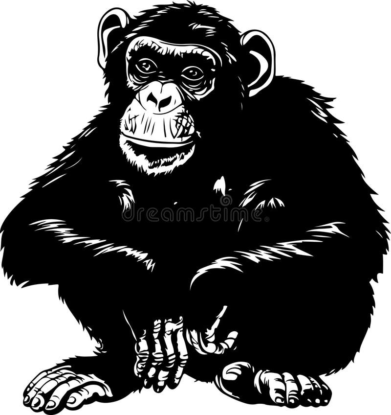 Chimpanzee Chimp Animal Vector Stock Vector - Illustration of forest ...