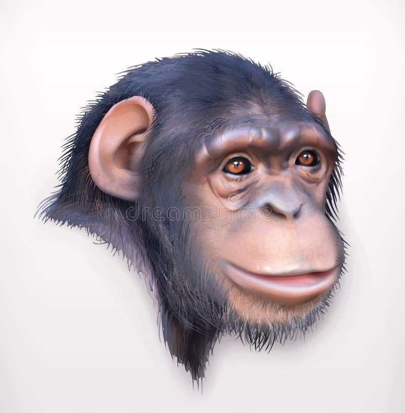 Chimpanzee Chimp Stock Illustrations – 11,241 Chimpanzee Chimp Stock ...