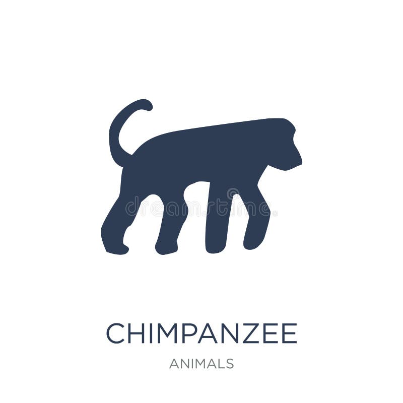 Chimpanzee Icon. Trendy Flat Vector Chimpanzee Icon on White Background ...