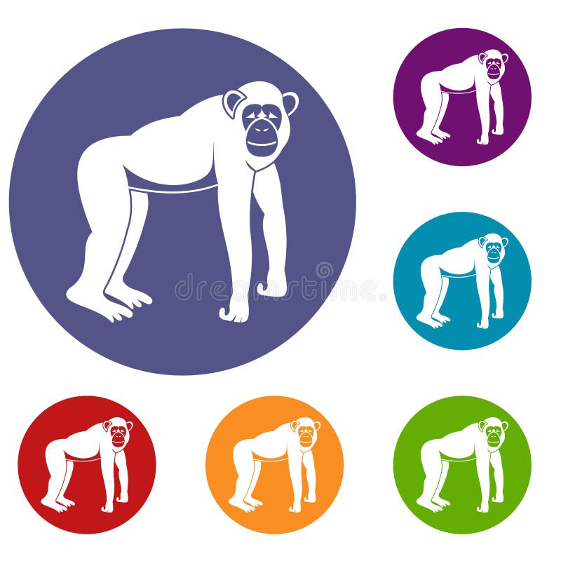 Chimpanzee icons set stock vector. Illustration of green - 96648270