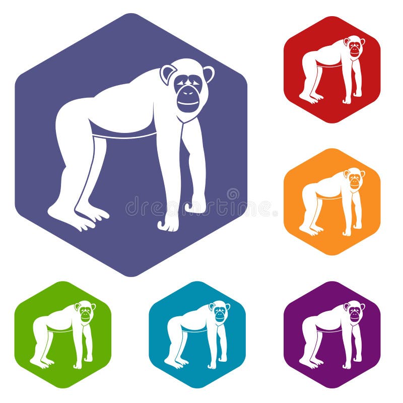Chimpanzee Icons Set Hexagon Stock Vector - Illustration of activity ...
