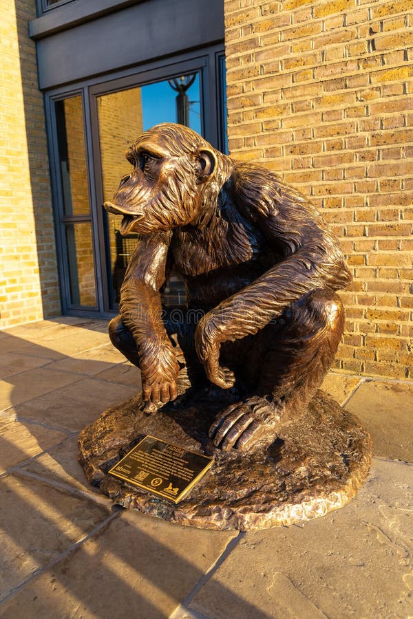 Chimps Monkey Statue at Sunset in London, UK Editorial Image - Image of ...