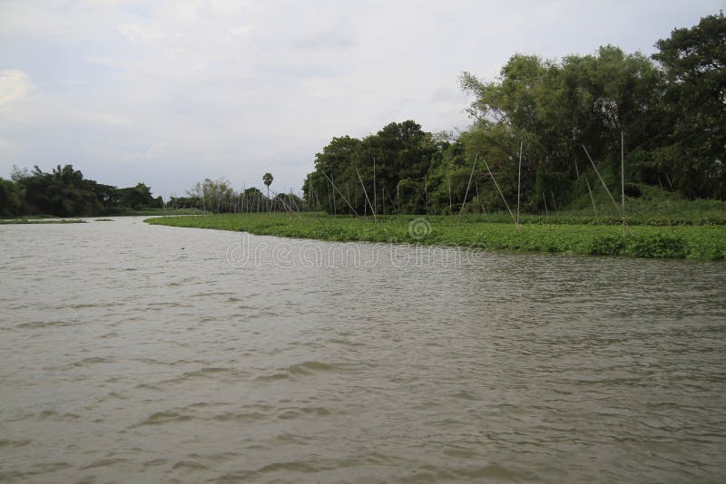 The Chin River stock image. Image of stream, wetland - 202653429