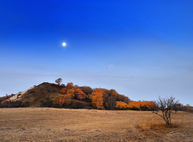 China Bashang Grassland Scenery Stock Photo - Image of sunset, natural ...