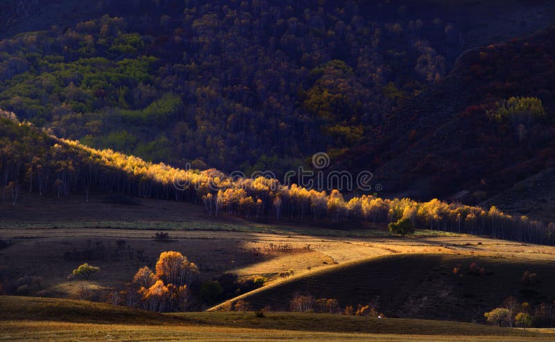 China Bashang Grassland Scenery Stock Photo - Image of mountain, travel ...