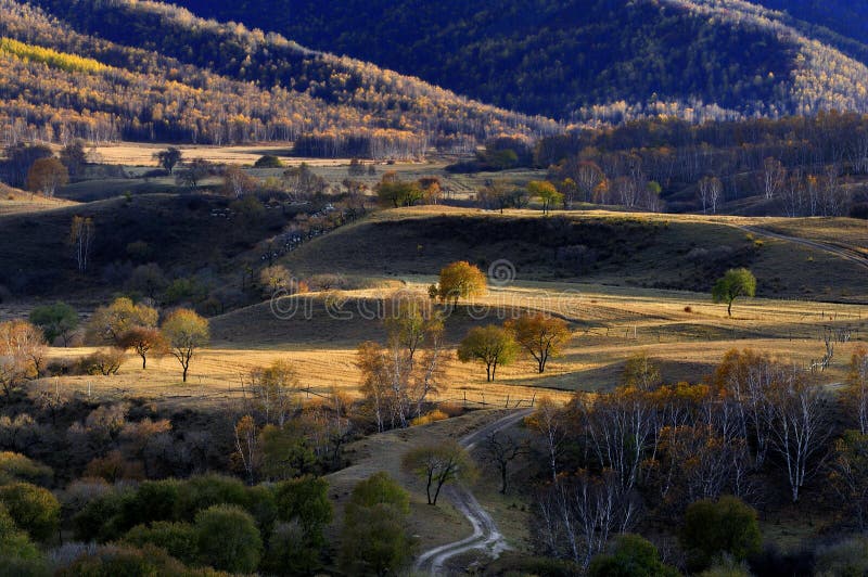China Bashang Grassland Scenery Stock Image - Image of national, clouds ...