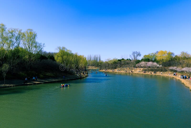 China Beijing Olympic Forest Park Spring View with Flowers Bloom Stock ...