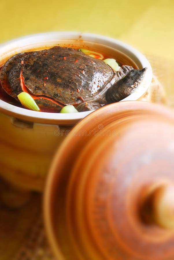 China Delicious Food-soft-shelled Turtle Stock Image - Image of cuisine ...
