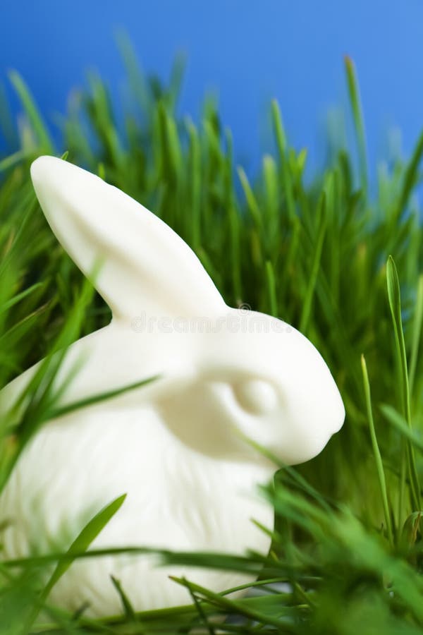 China Easter Bunny is in the Green Grass Stock Image - Image of bunny ...