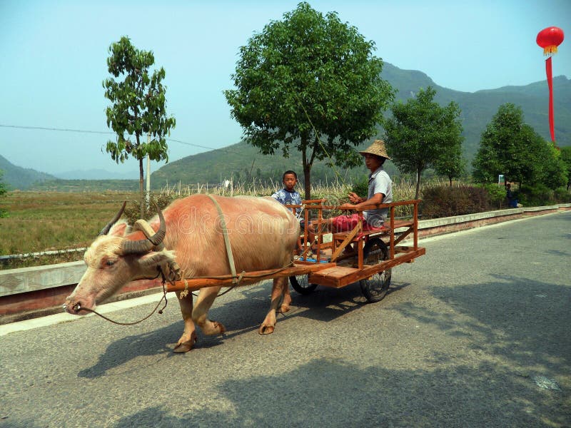 Poor Family in the Old Village in Guizhou, China Editorial Stock Photo ...