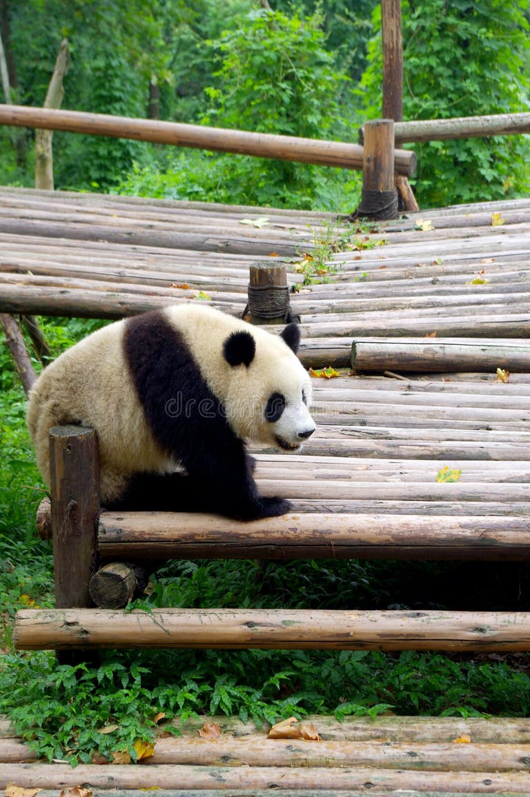 15,068 China Fat Vessel Stock Photos - Free & Royalty-Free Stock Photos ...