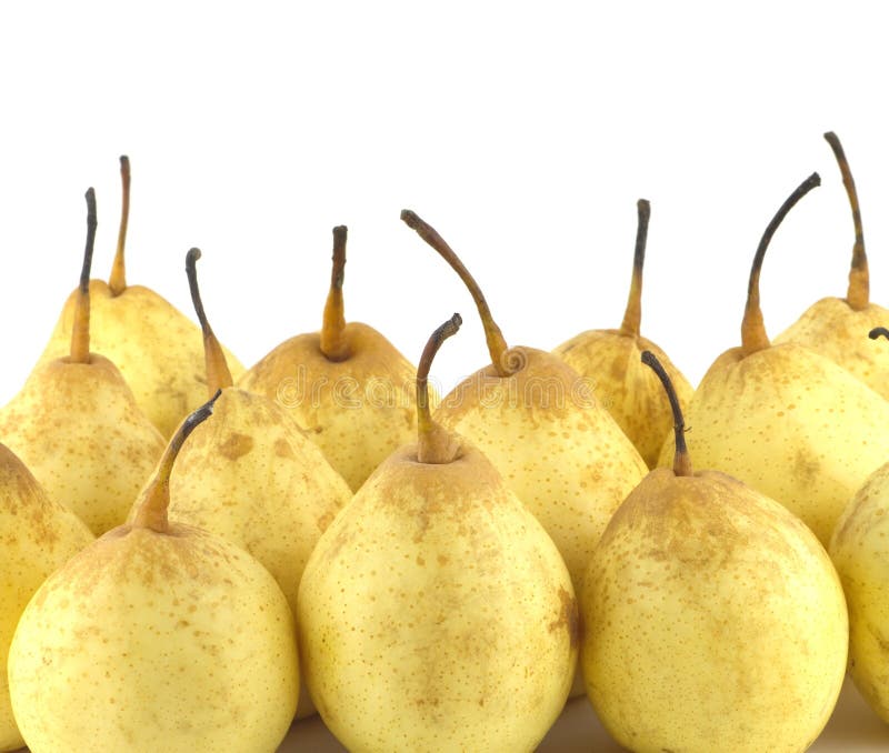 China Pears Isolated on White Close Up Stock Photo - Image of edible ...
