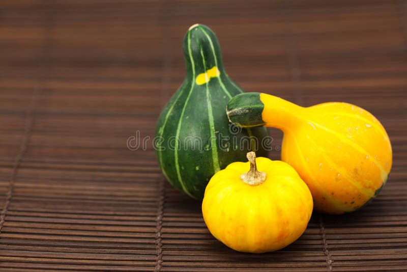 China pumpkin stock photo. Image of macro, harvesting - 18059548