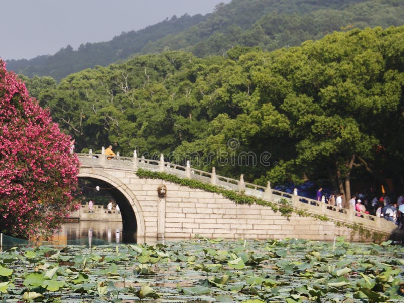 China Putuo Mountain Stone Bridge Stock Image - Image of river ...