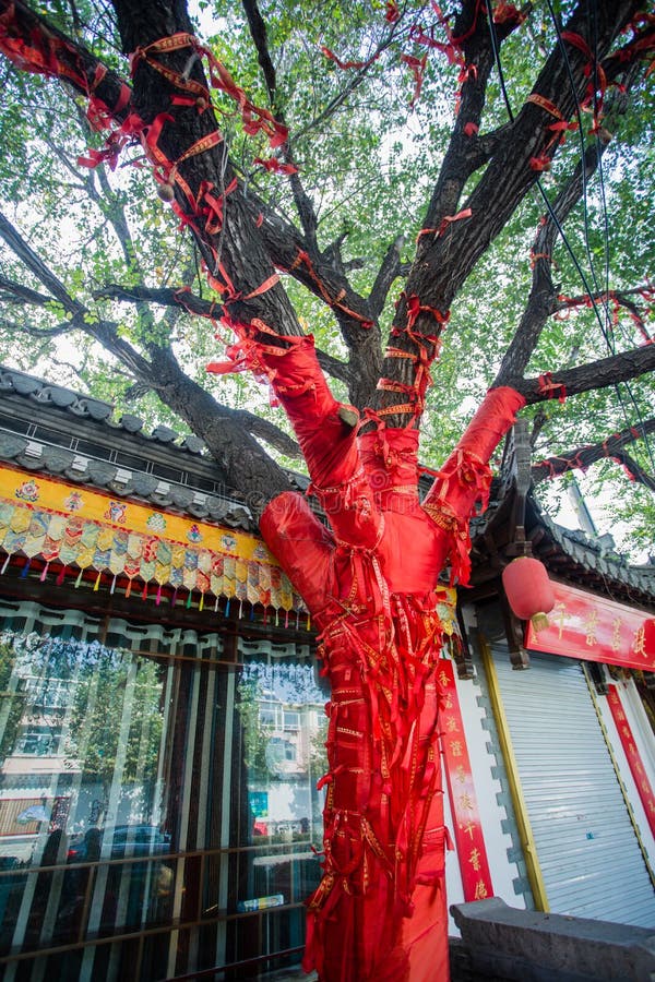 China`s blessing tree stock image. Image of travel, garden - 102751235