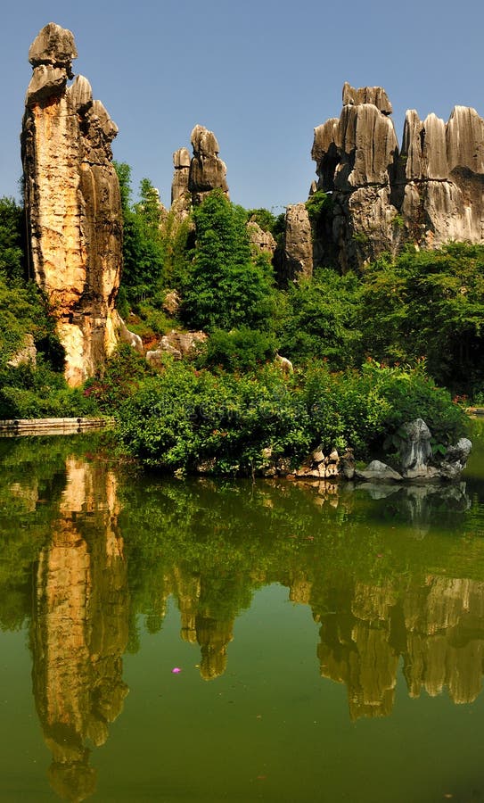 Stone Forest-a-shi-ma stock photo. Image of karst, yunnan - 9375486