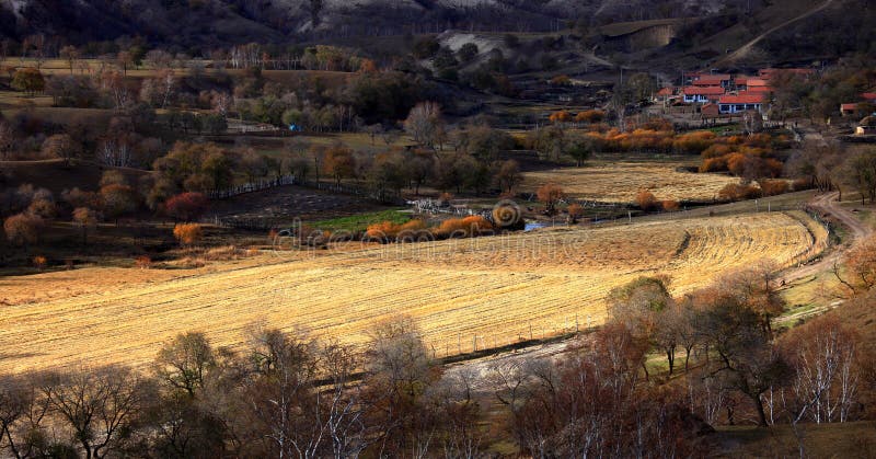 China scenery Bashang stock photo. Image of place, hebei - 21834266