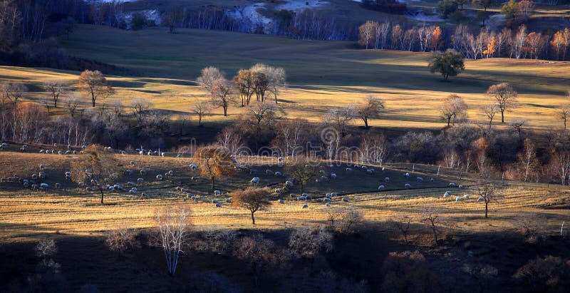 China scenery Bashang stock photo. Image of destination - 21834554