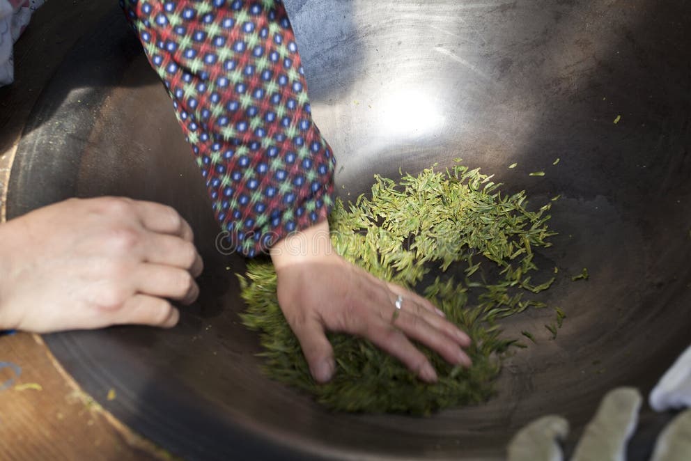 China, Tea Production Process Stock Photo - Image of heating, belt ...