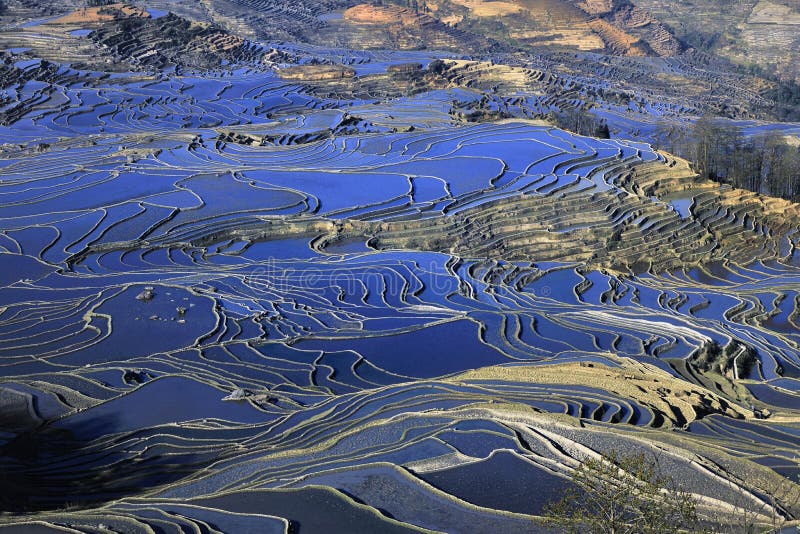 China Yunnan Hani Terrace stock photo. Image of hani - 23744648