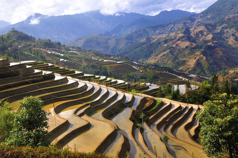 China Yunnan Hani Terrace stock photo. Image of hani, natural - 7665110