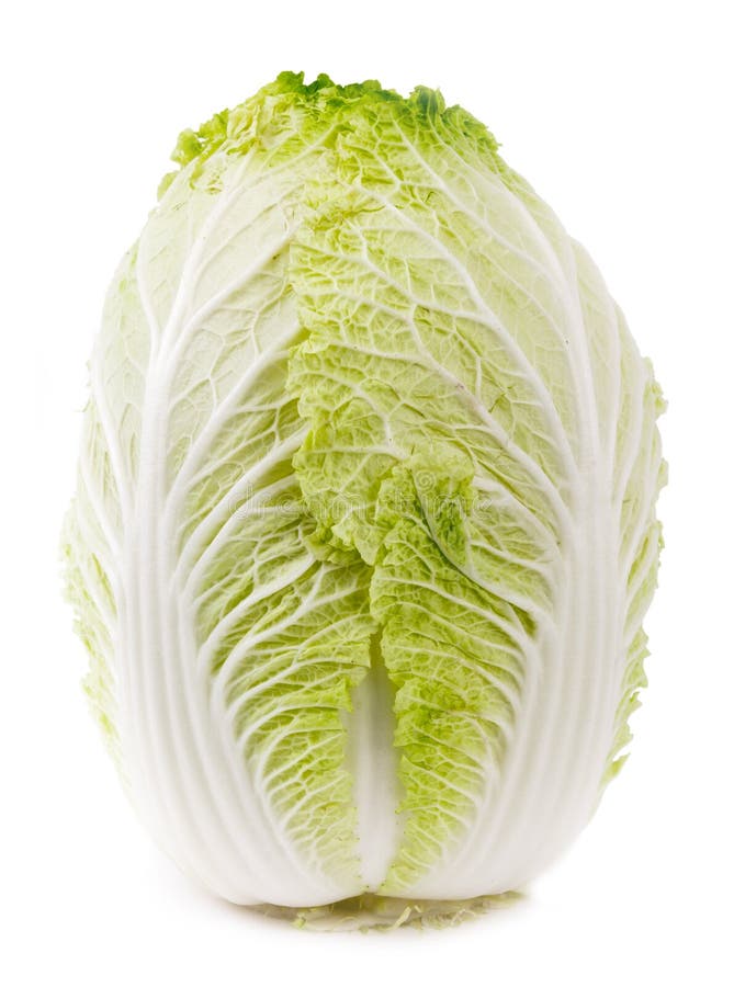 Napa-Kohl oder Chinakohl. stockfoto. Bild von organisch - 36953358