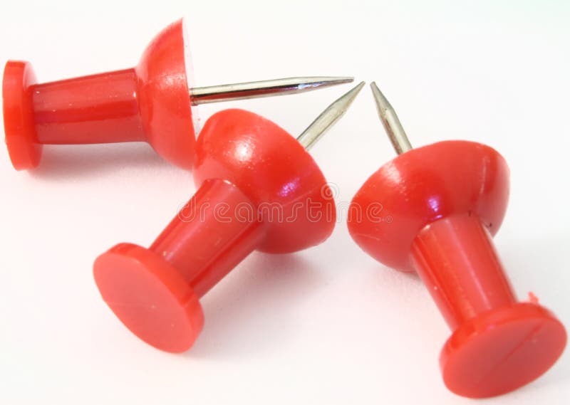 Macro De La Chincheta Aislada Imagen de archivo - Imagen de negocios ...