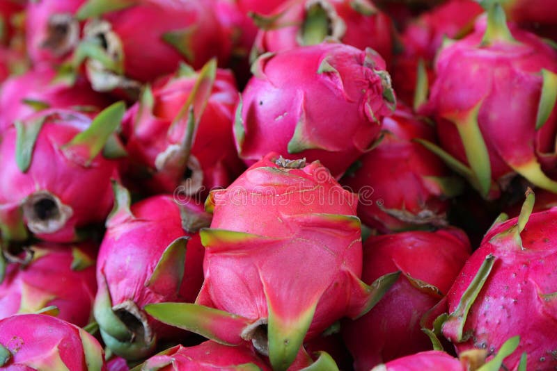 Chinees fruit stock foto. Image of draagt, kleur, bloemen - 58269696