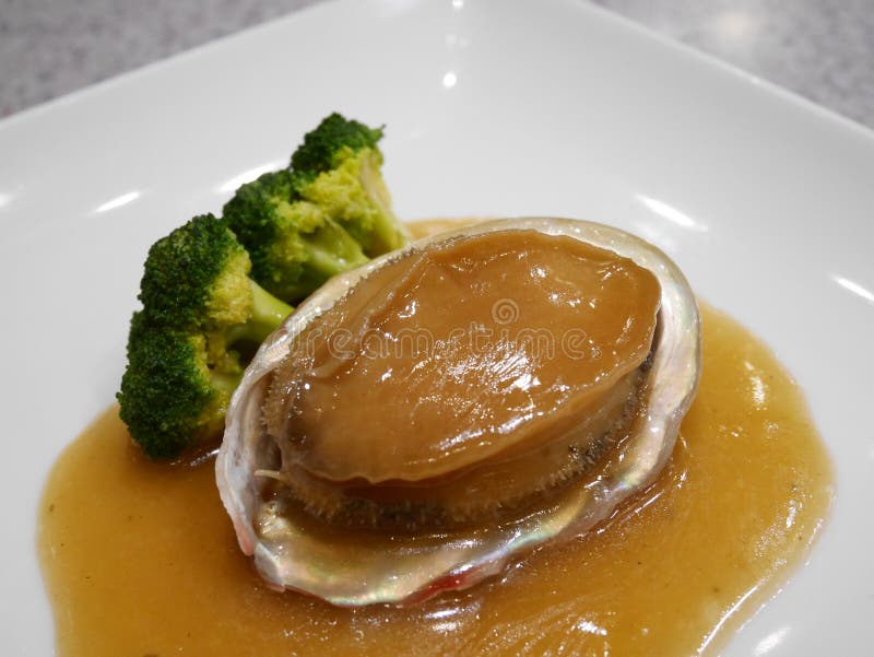 Abalone Dish stock image. Image of tradition, fresh, delicious - 26457433