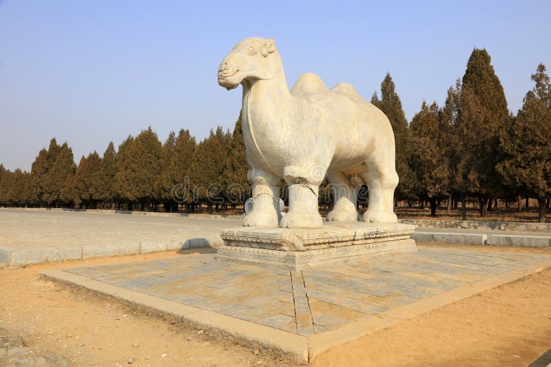Chinese Ancient Camel Sculptures Stock Photo - Image of erosion, china ...