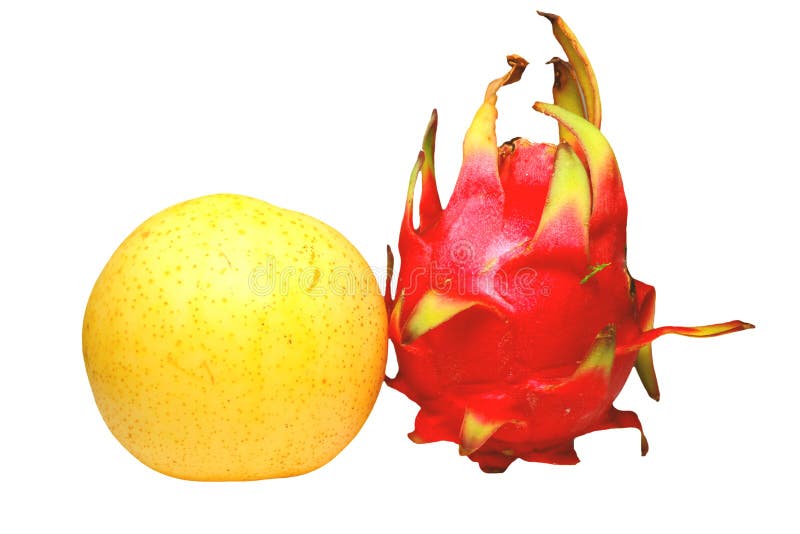 Chinese Barrow and Southern Langsat Stock Image - Image of healthy ...