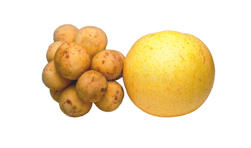 Chinese Barrow and Southern Langsat Stock Image - Image of healthy ...