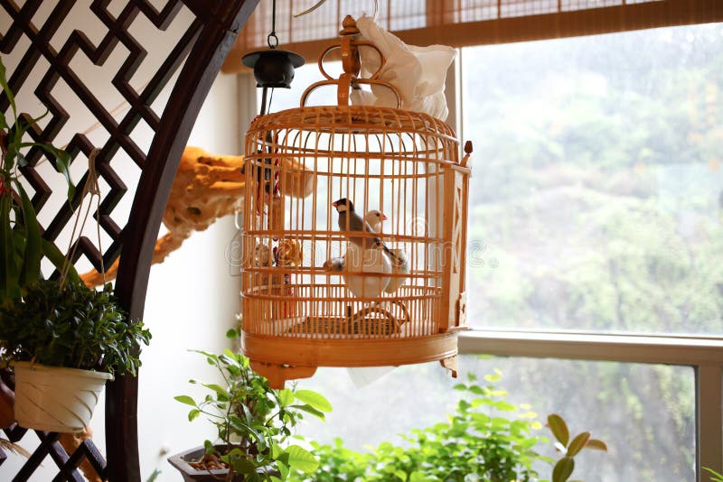 Chinese bird cages stock photo. Image of birdcage, hanging - 30258248