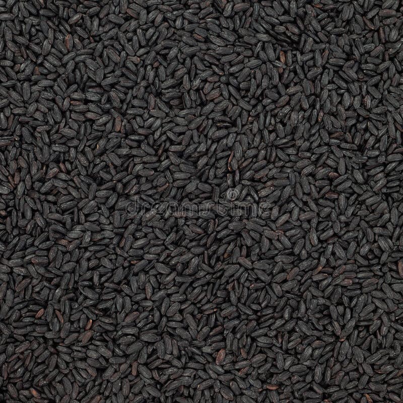 Chinese Black or Venere Whole Grain Rice. Stock Photo - Image of ...
