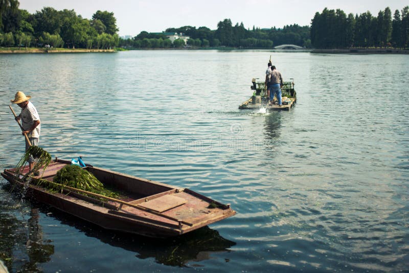 Chinese Boaters Clean the Lake from Algae in the Park Editorial Image ...