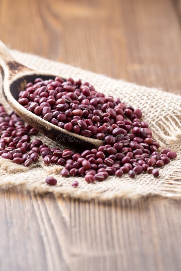 Aantrekkelijkheid Rond De Tekening Van De Wereld Chinese Borstel Stock ...