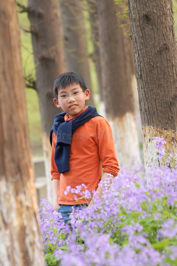 Chinese Boy Standing in the Grove Stock Photo - Image of outdoor ...