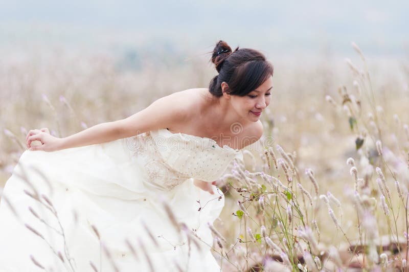Chinese bride on a field stock image. Image of dressed - 28276285
