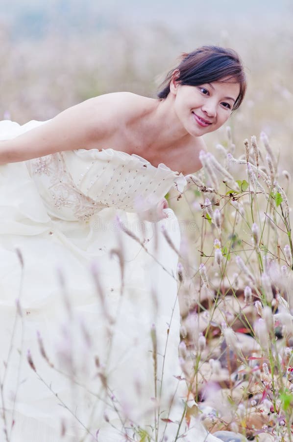 Chinese bride on a field stock image. Image of honeymoon - 28276347