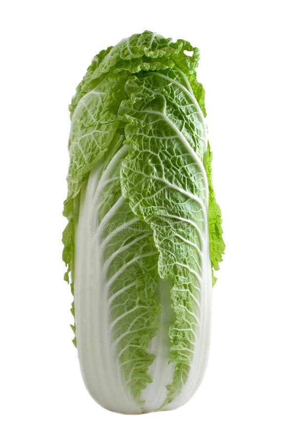 Chinese boy choy cabbage stock photo. Image of nutritious - 35580012