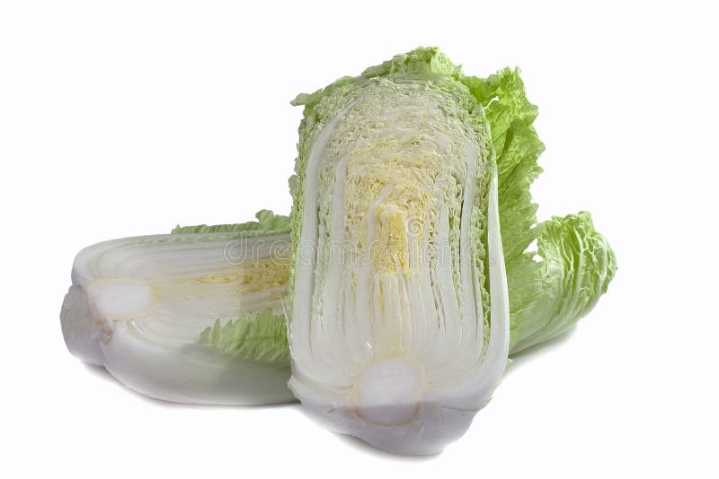 Chinese cabbage stock photo. Image of crop, butterhead - 13415792