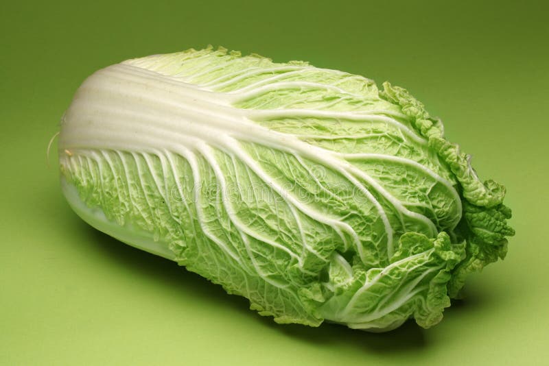 Chinese Cabbage stock photo. Image of food, cabbage, nutritious - 1870796