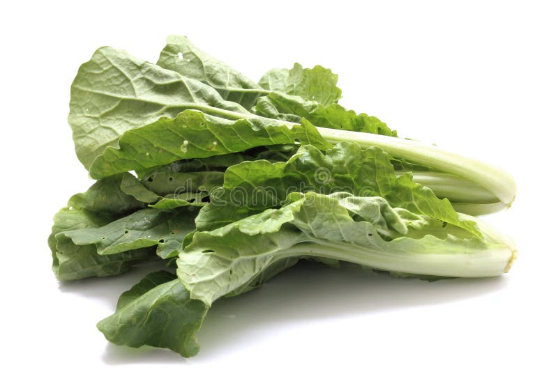 Chinese vegetable-chye sim stock photo. Image of fresh - 4538854