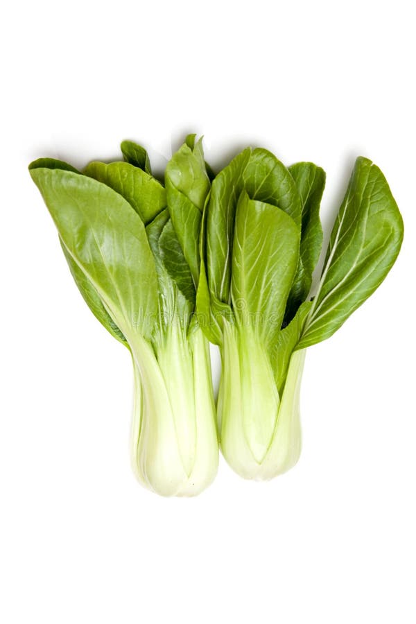 Chinese Cabbage stock image. Image of ingredient, snow - 5025705