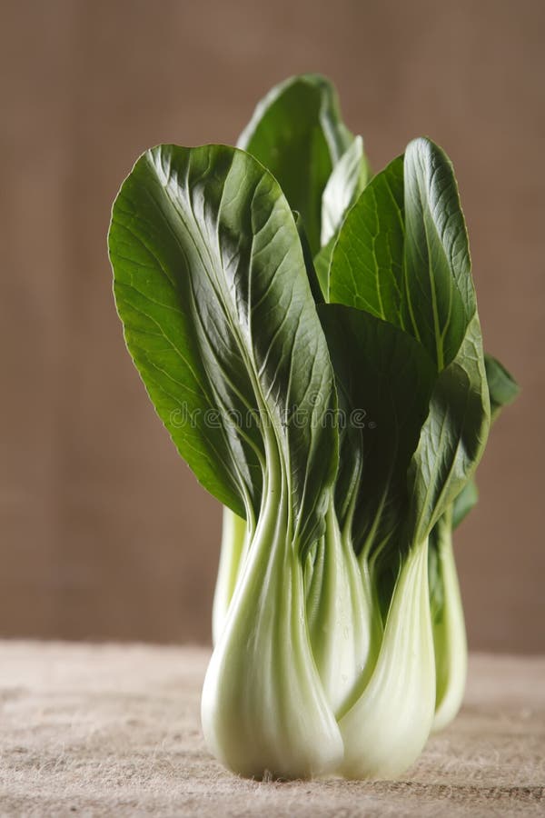 Chinese Cabbage Bok Choy Pak-choi on Rustic Stock Photo - Image of ...