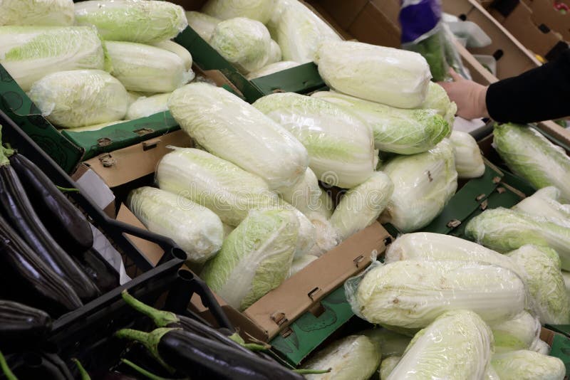 Chinese cabbage in boxes stock image. Image of organic - 70961791