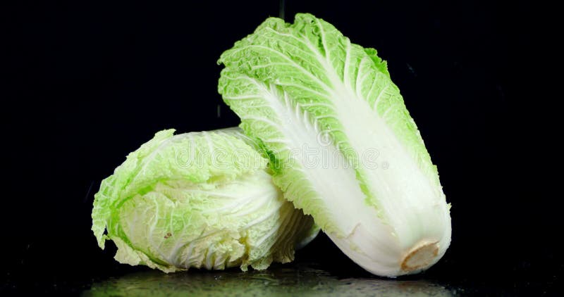 Chinese Cabbage Falling Water Drops. Stock Footage - Video of chinese ...