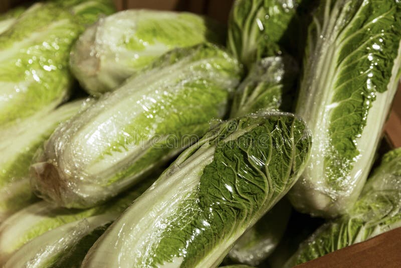 Chinese Cabbage in a Film in a Box in a Store. Close-up Stock Image ...